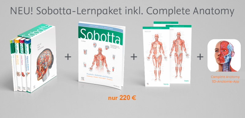 Sobotta Lernpaket inkl. Complete Anatomy, 220,00